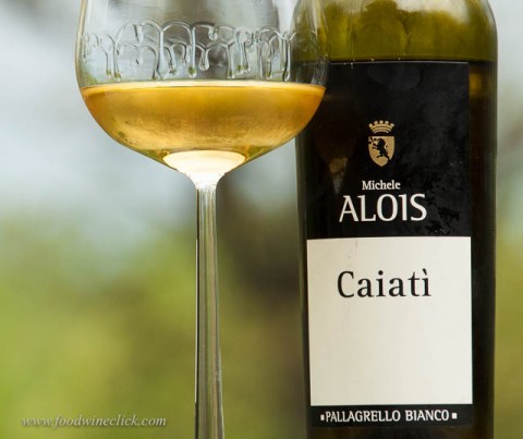 Neapolitan Pork Chops & Autochthonous Grapes of Campania #ItalianFWT ...