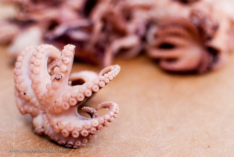 What Wine Goes With Octopus? A Sardinian Investigation #ItalianFWT ...