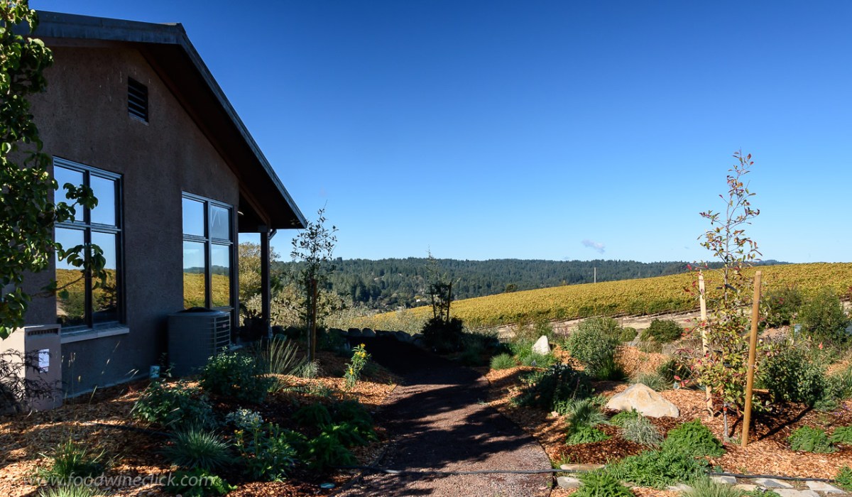 Visual Tour of Biodynamics at Littorai Wines | foodwineclick