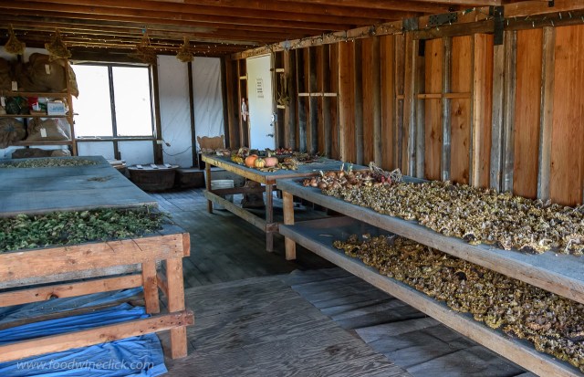 Visual Tour of Biodynamics at Littorai Wines | foodwineclick