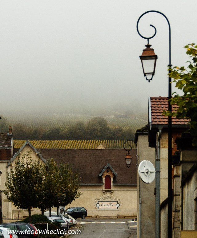 Morey-Saint-Denis and Domaine Pierre Amiot & Fils | foodwineclick