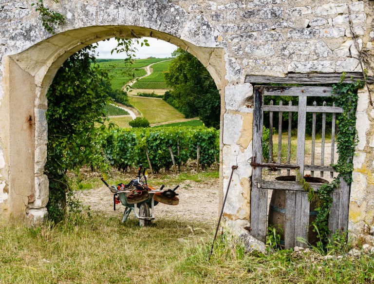A Day in Chablis – Part One: The Town & Chablis Grand Cru | foodwineclick